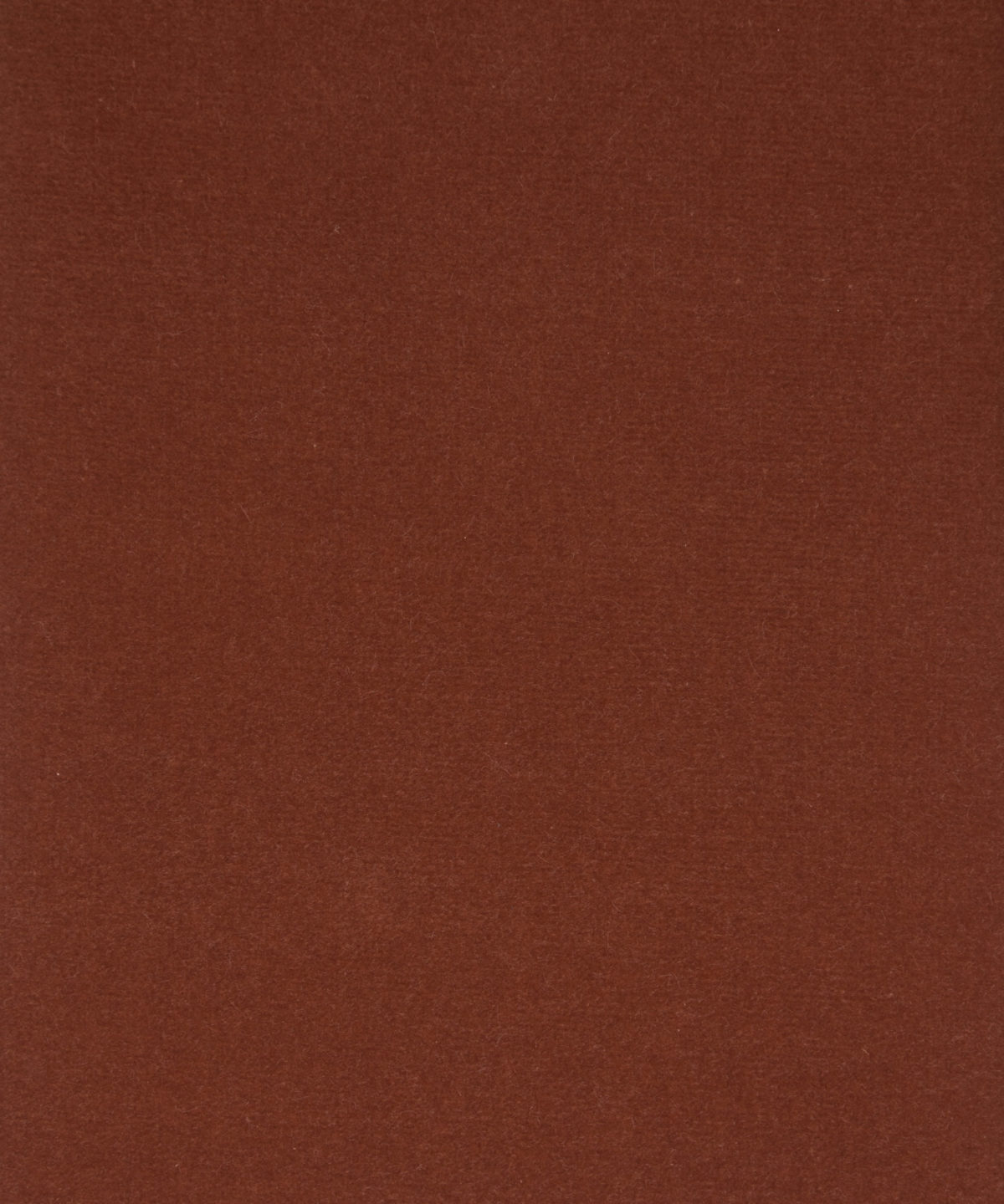 Cotton Velvet in Amaranth - Indoor | Liberty Fabrics