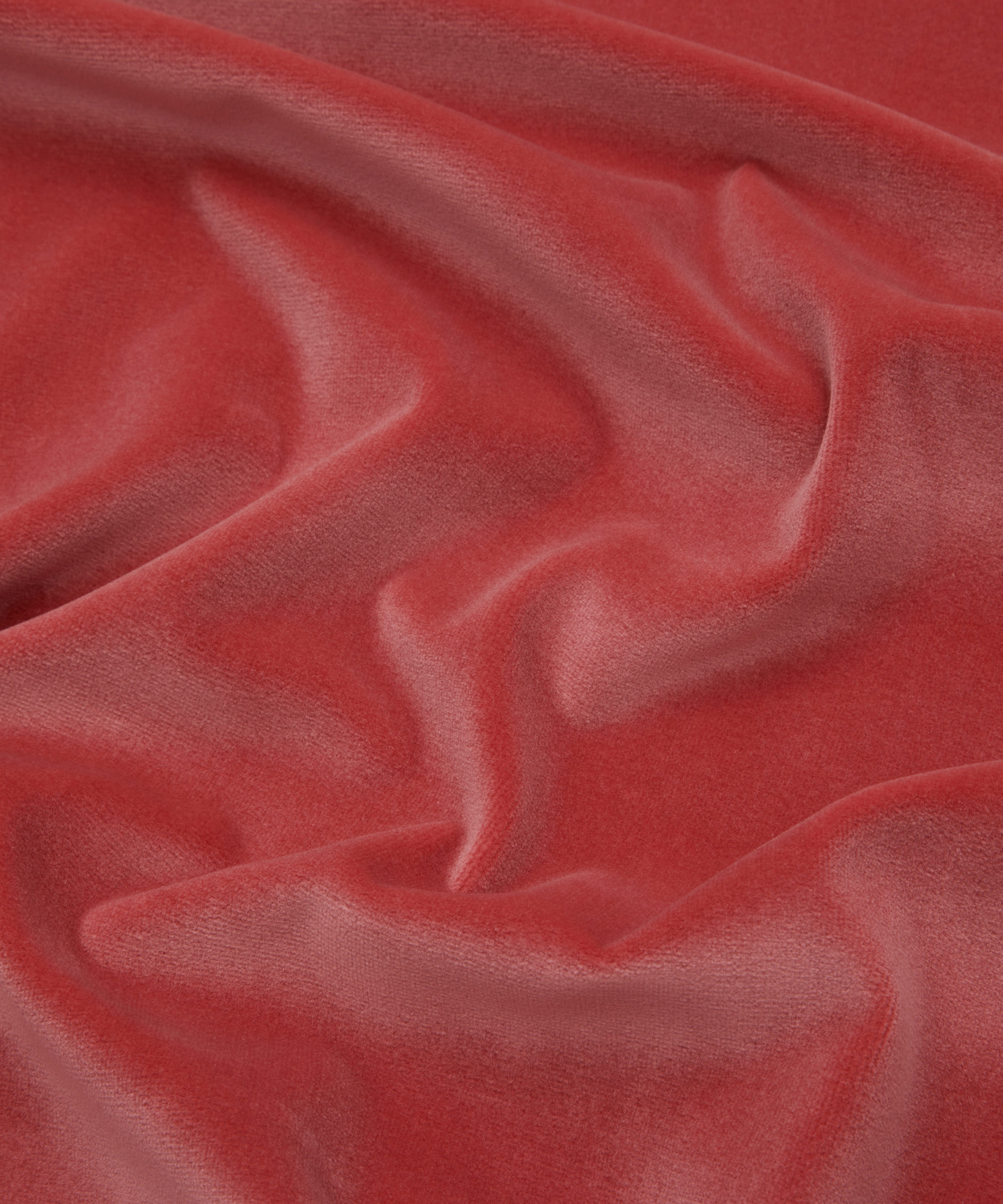 Cotton Velvet in Lacquer - Indoor | Liberty Fabrics